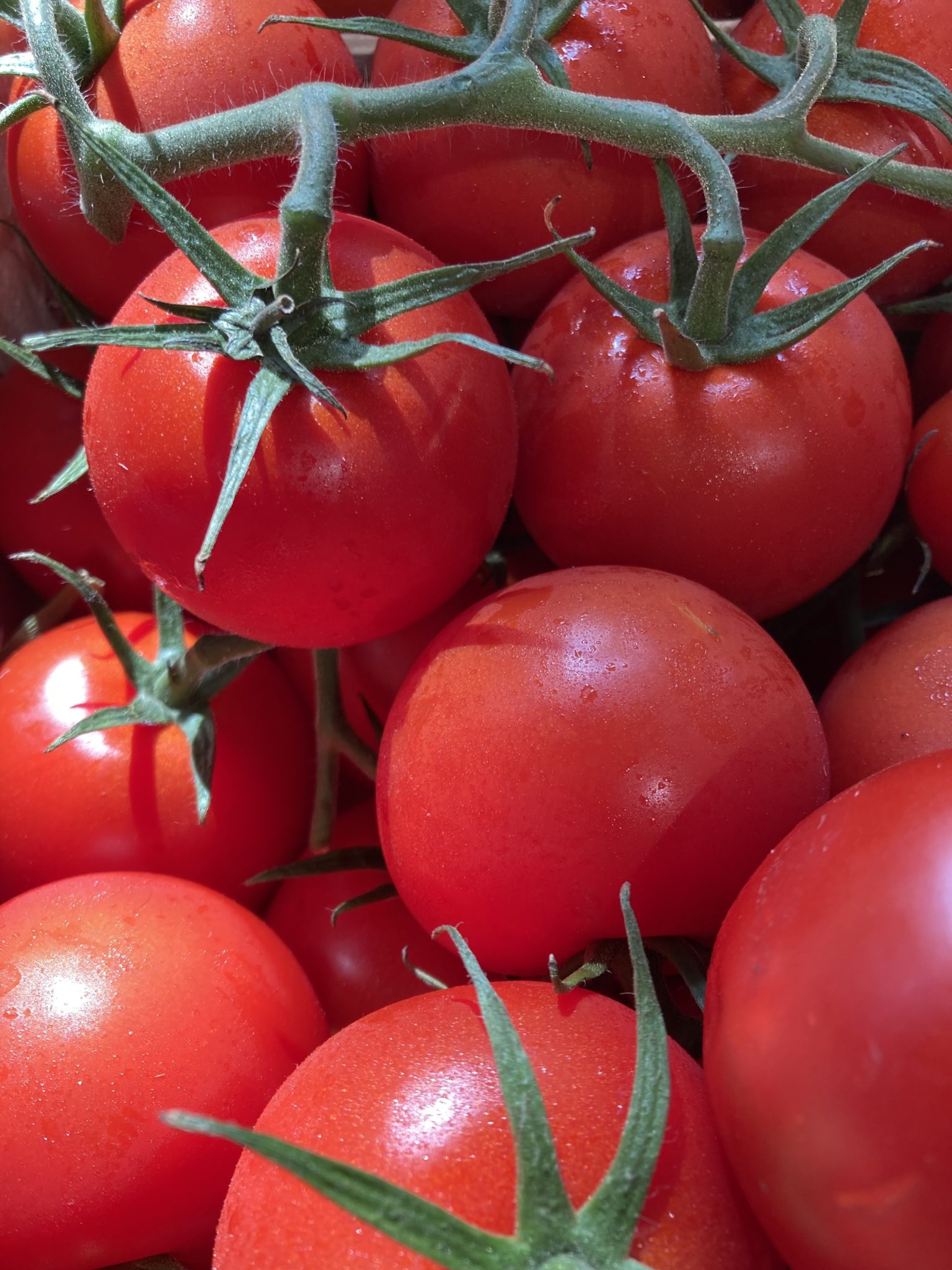 Nos valeurs - Cerise et Potiron - Primeur Lyon