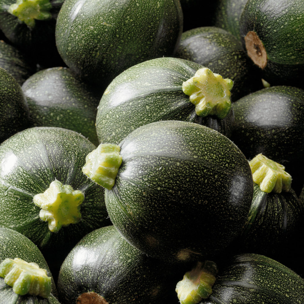 La Courgette - Légumes - Cerise et Potiron - Primeur Lyon